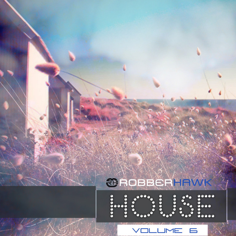 Robber Hawk - House Vol. 6 - Dj Producers